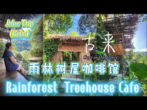Rainforest Treehouse Café | 雨林咖啡馆 | #kulai | #古来 Johor Vlog | #familytravel - YouTube