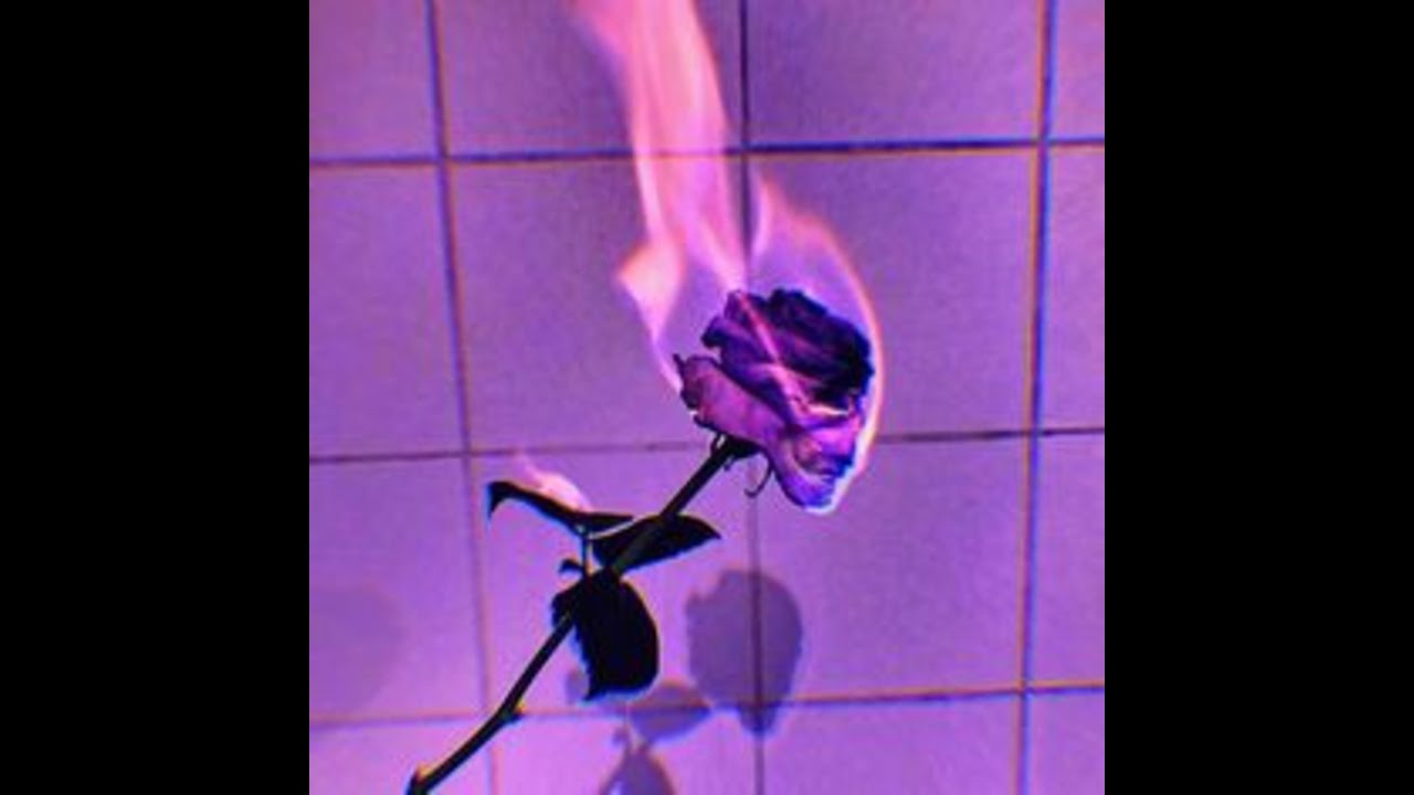 [FREE] PURPLE ROSE TRAP BEAT prodbytosy - YouTube