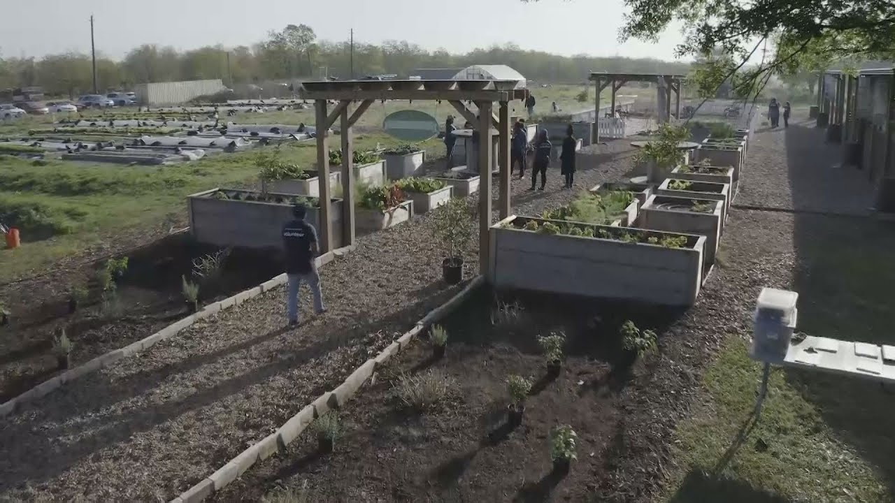 Hope Farms Targeted by Thieves - YouTube