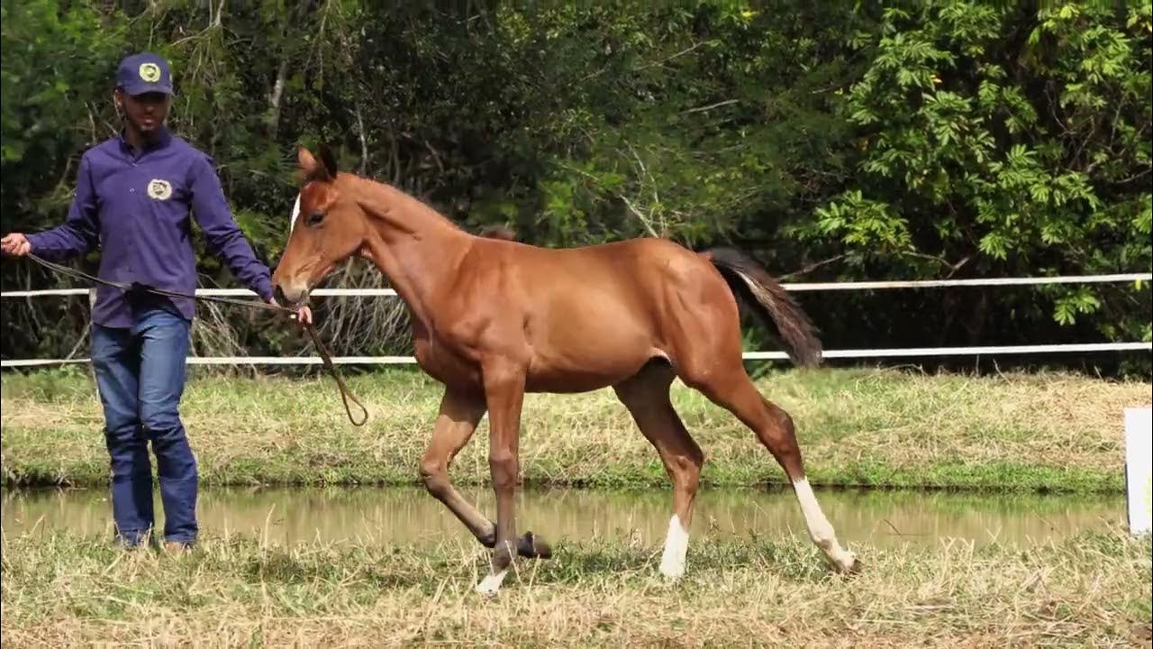 ESMERALDA SH - YouTube