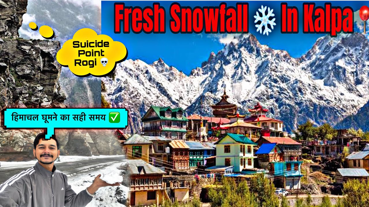 Fresh SnowFall In Kalpa📍|| हिमाचल घूमने का सही समय || Suicide Point ...
