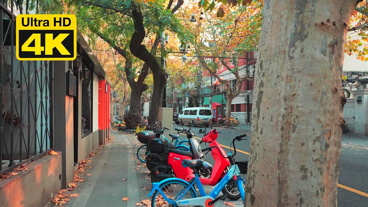 【Shanghai walk 4K】Walking on the streets of Shanghai in early winter ...