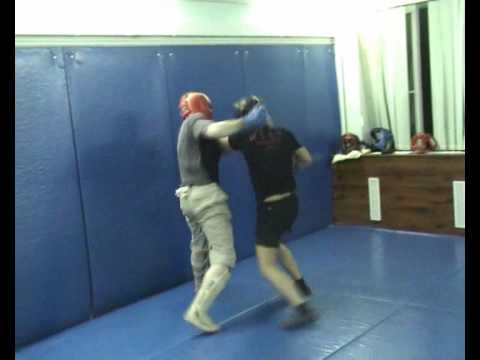 Mantis boxing vs Wing Chun - YouTube