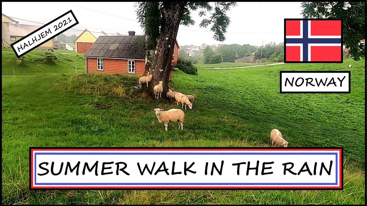COUNTRYSIDE WALK IN HEAVY RAIN - NORWAY nature views - YouTube