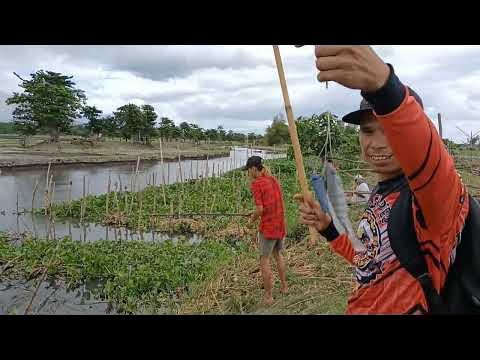 tara na sa iLog kasama ang pamiLya (part 2) #buhay probinsya - YouTube