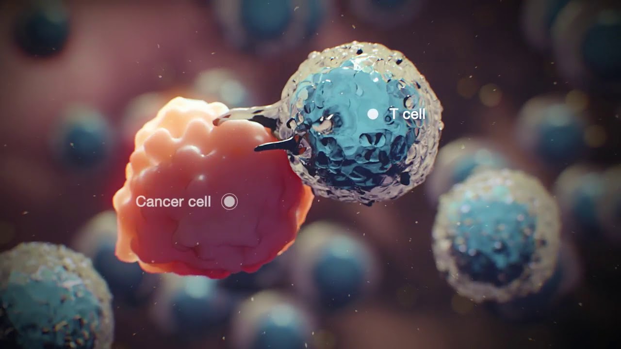 Introducción al cáncer Cáncer Manual MSD versión para pú 1 - YouTube