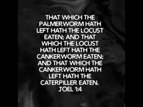 20-07-2025 - Palmerworm, Locust, Cankerworm, Caterpillar - TBBC SA ...