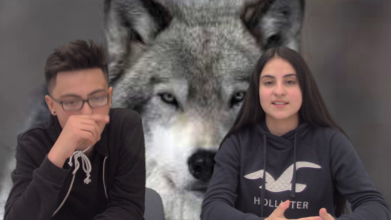 LOBO TV 2 9 17 - YouTube