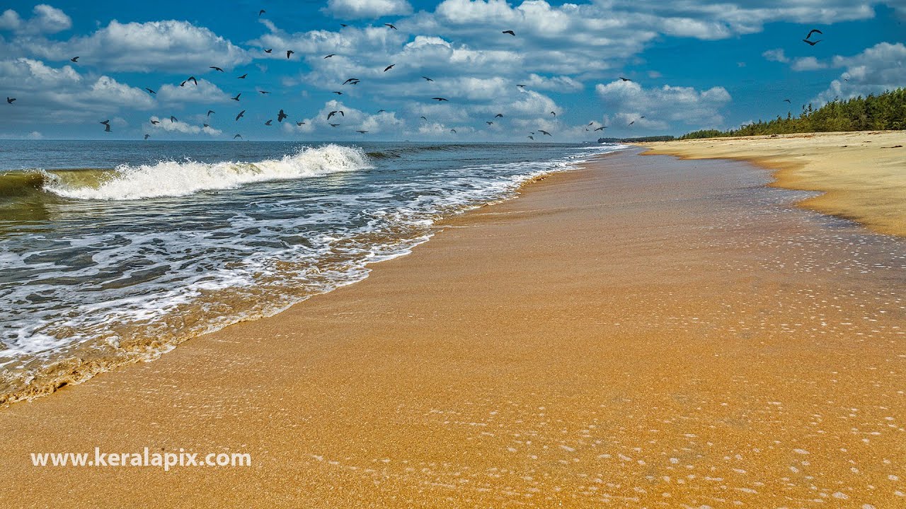 Experience a beautiful beach in Kerala with original ocean sounds ...