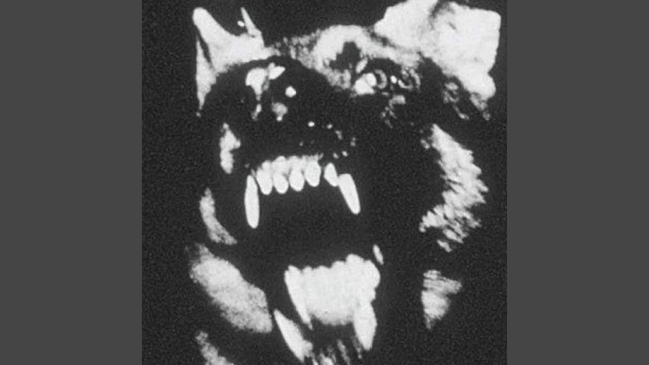 bite down - YouTube