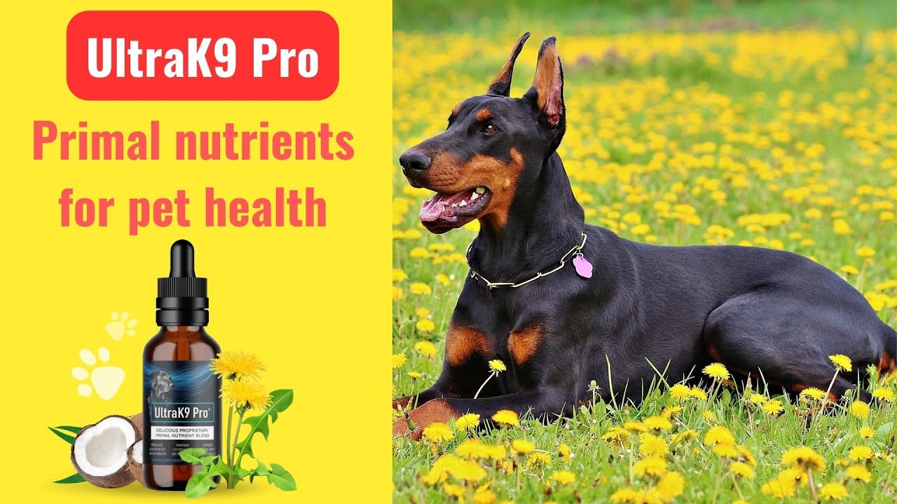 Ultrak9 pro dog - Primal nutrients for pet health -ultrak9 pro review ...