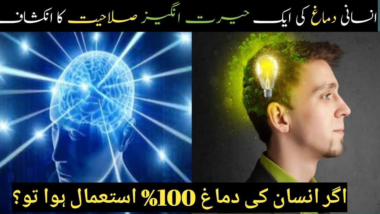 Discover An Amazing Ability Of The Human Brain in Urdu Hindi YouTube discover-an-amazing-ability-of-the-human-brain-in-urdu-hindi-youtube