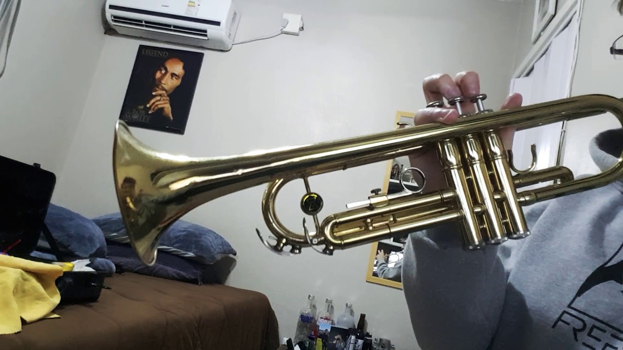 Samba Reggae - Trompeta - YouTube