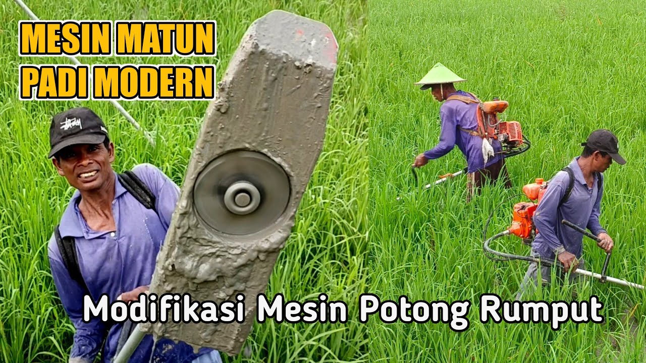 REVIEW MESIN UNTUK MATUN PADI MODERN MODIFIKASI MESIN POTONG RUMPUT ...