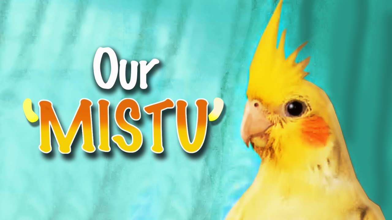 Our Sweetheart Mistu - YouTube