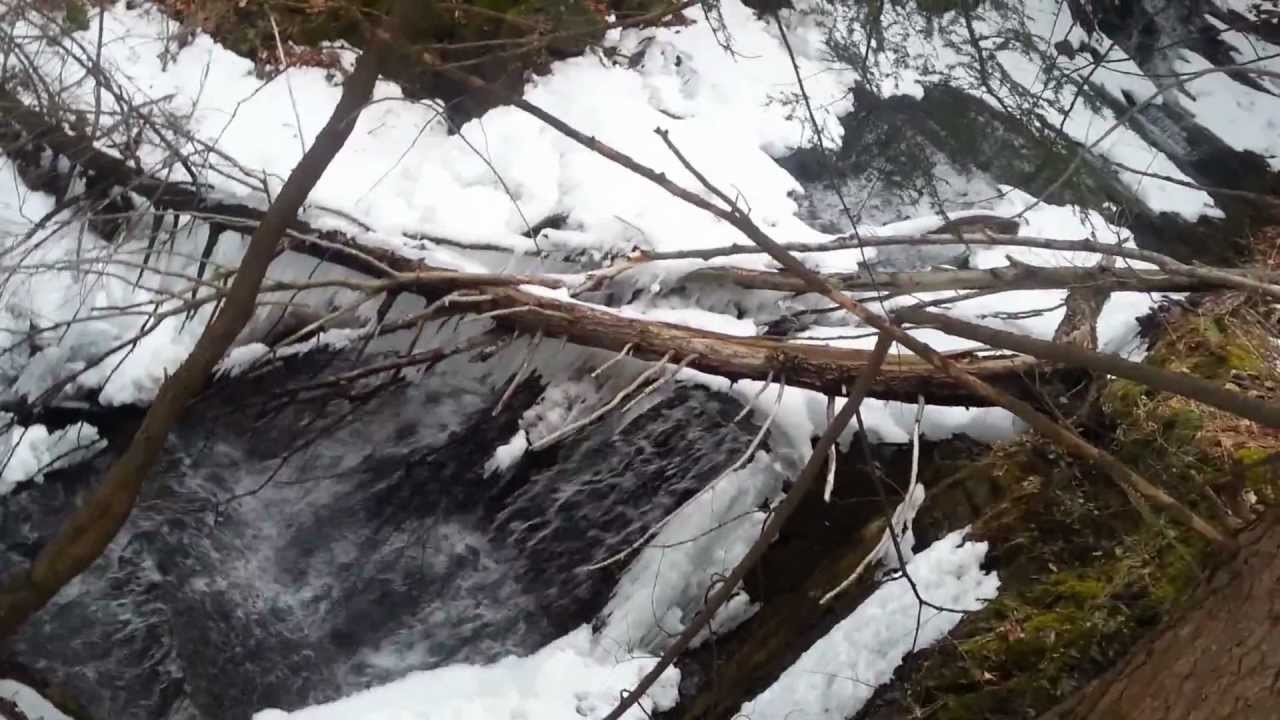 Partridge Run, North Falls from ledge - YouTube