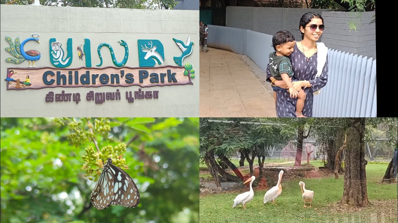 Guindy Children's park#zoo#animals#guindy#children#nammchennai#lemon# ...