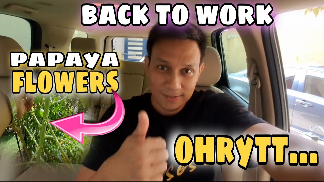 BACK TO REALITY + UPDATE SA PAPAYA NA TANIM | EP01-2023 # ...