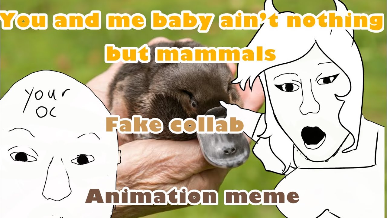 You and me baby, ain’t nothing but mammals, fake collab animation meme ...