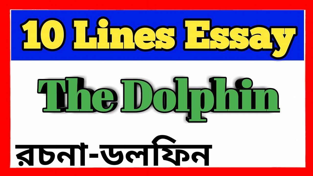 10 lines about Dolphin 🐬|| Paragraph on The Dolphin || রচনা-ডলফিন - YouTube