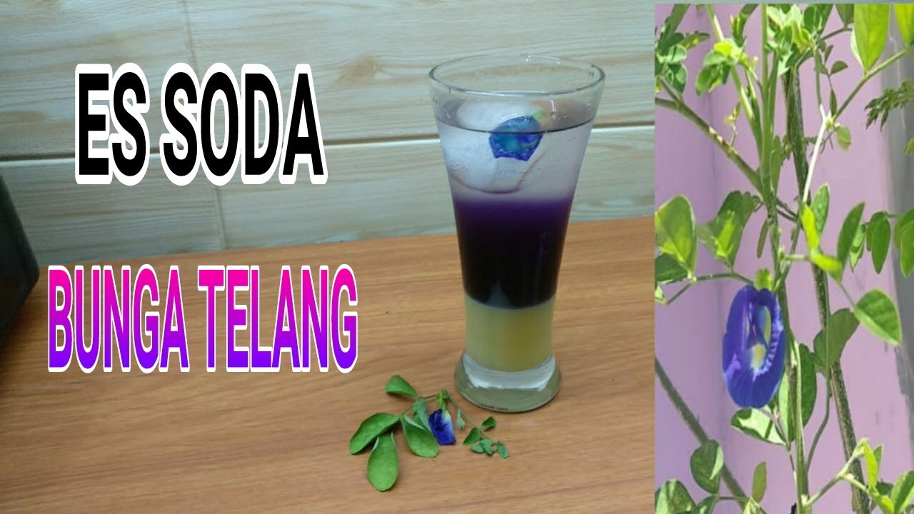 ES SODA BUNGA TELANG - YouTube