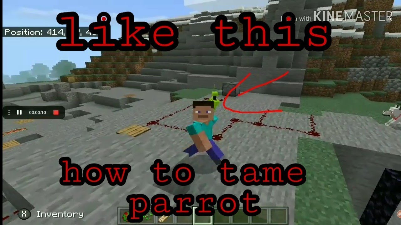 How to tame parrot in minecraft in survival or creative/aryaman - YouTube