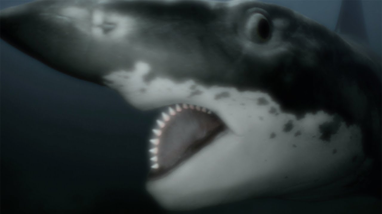 Helicoprion | Strangest Prehistoric Shark Facts - YouTube