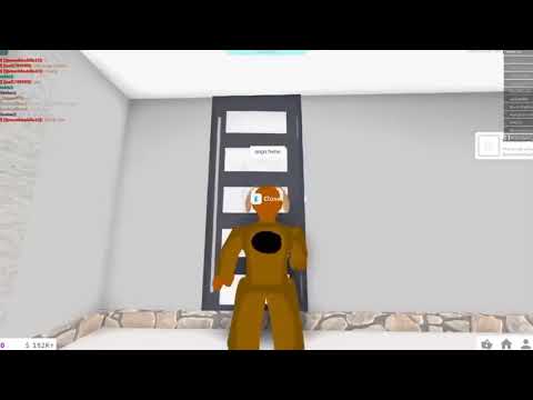 Flamingo: diarrhea everywhere