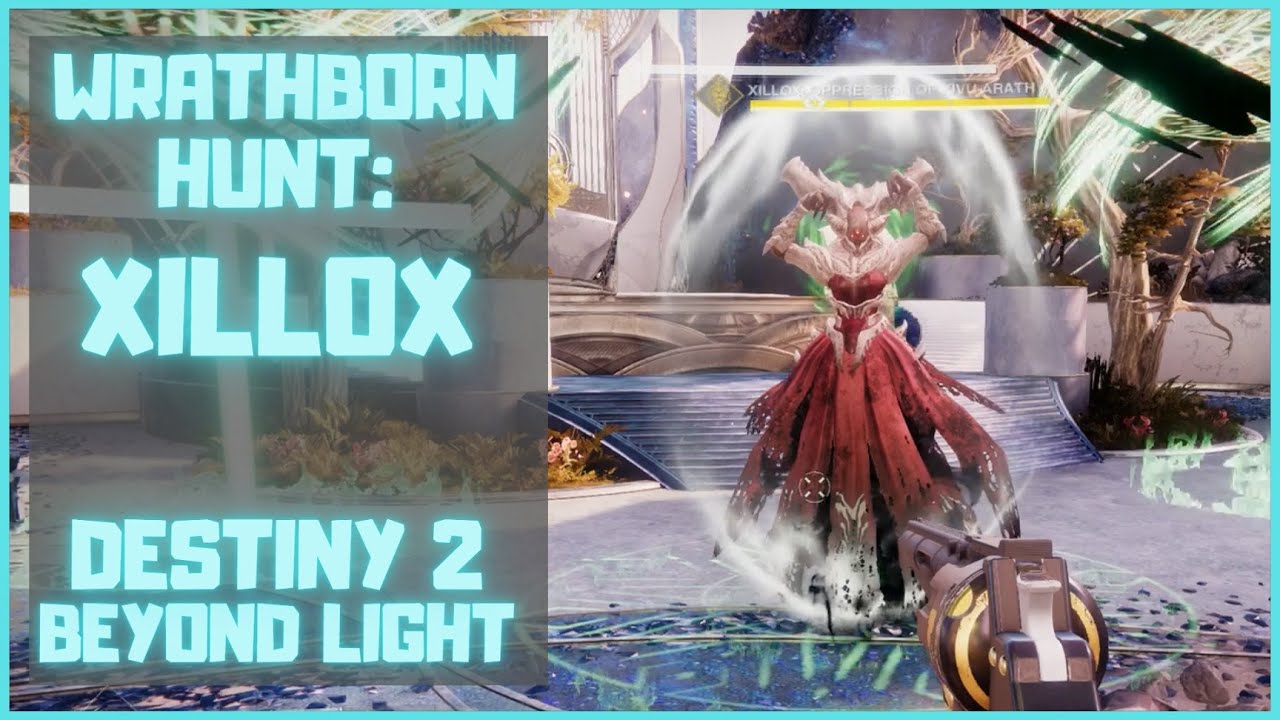 Wrathborn Hunt: Xillox (+Rewards!) | Destiny 2: Beyond Light - YouTube