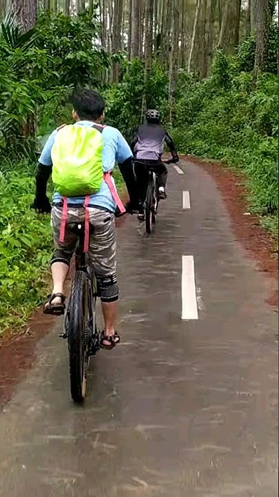 jalur hutan Pinus #mtb #mtbindonesia #cycling #gowes #adventurebiking #cycle #sepeda #indonesia ...