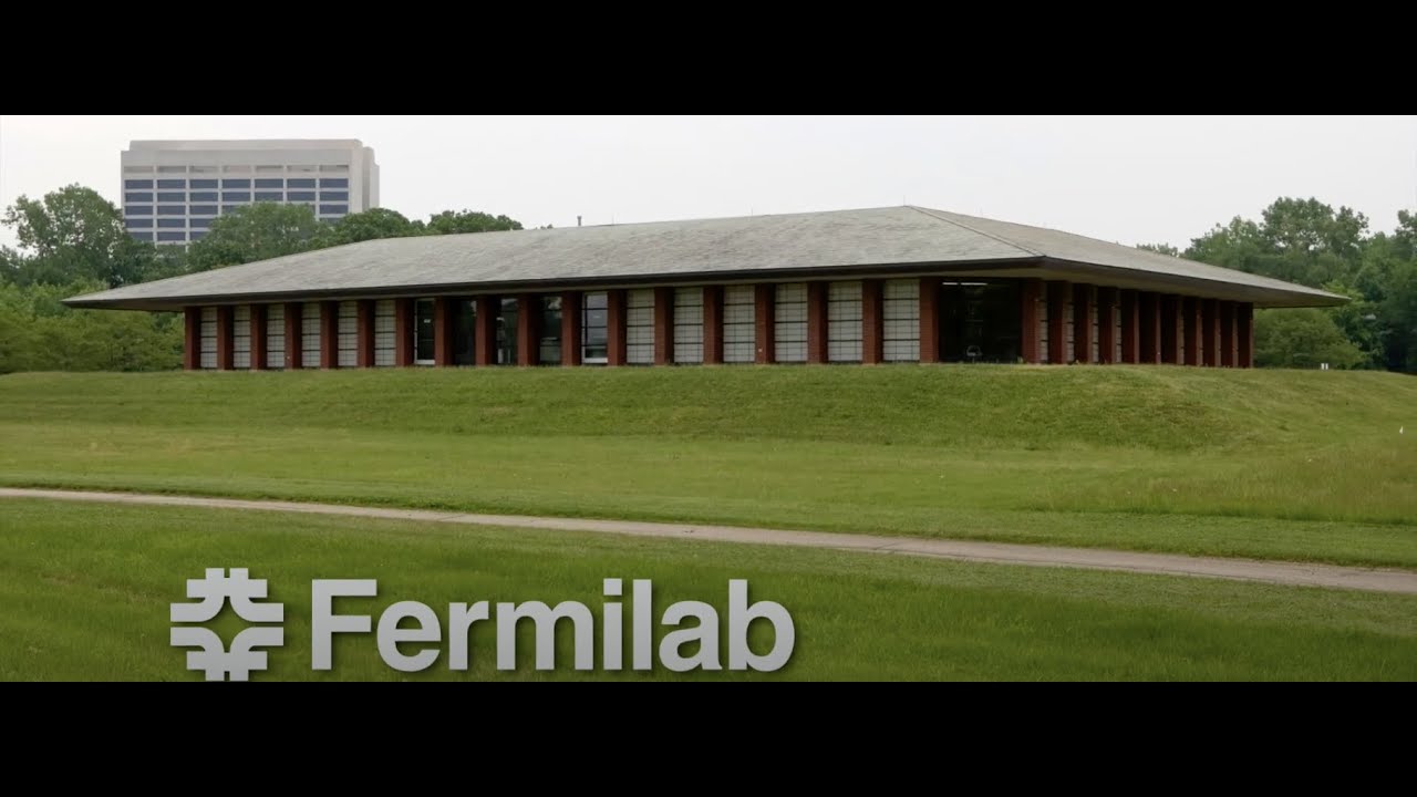 Plant ID and Quadrat Study - YouTube