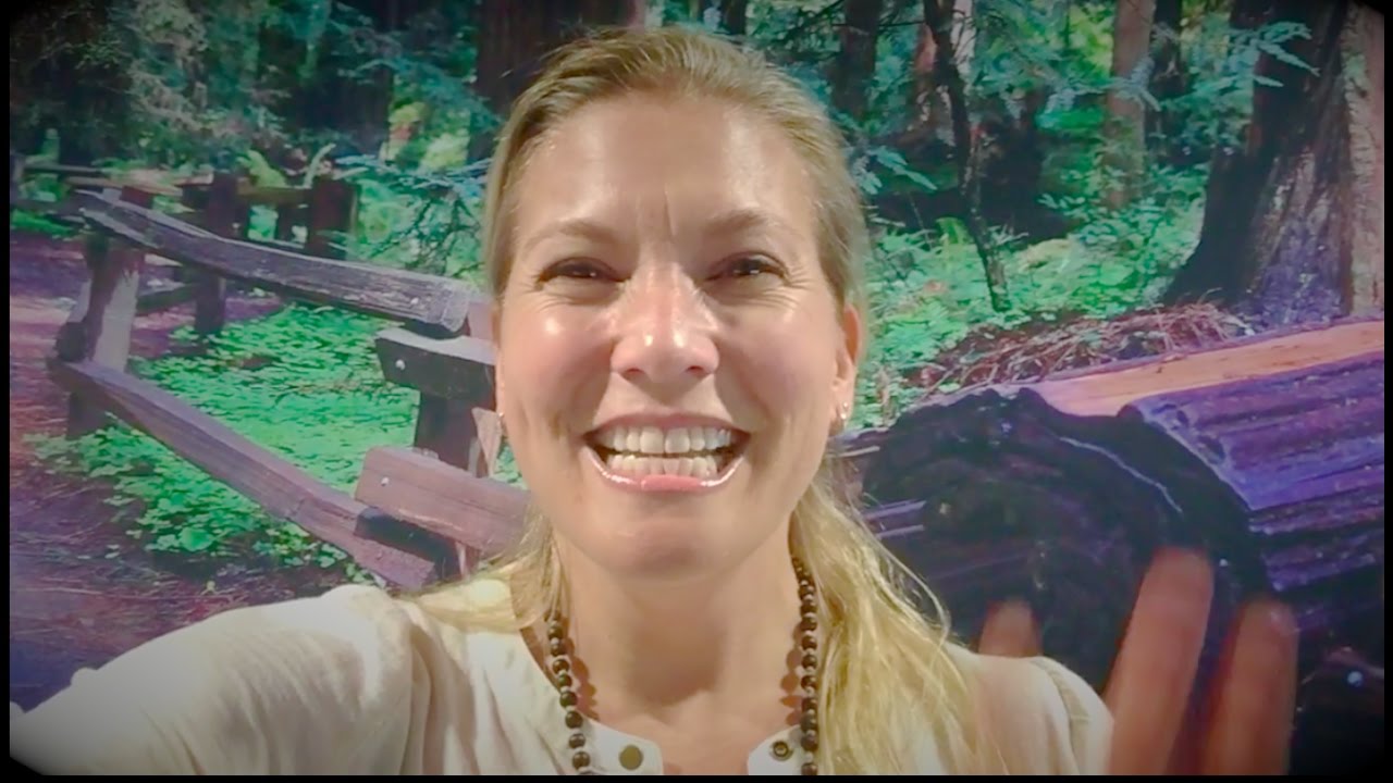 Jamie Butler-Connection To All That Is - YouTube