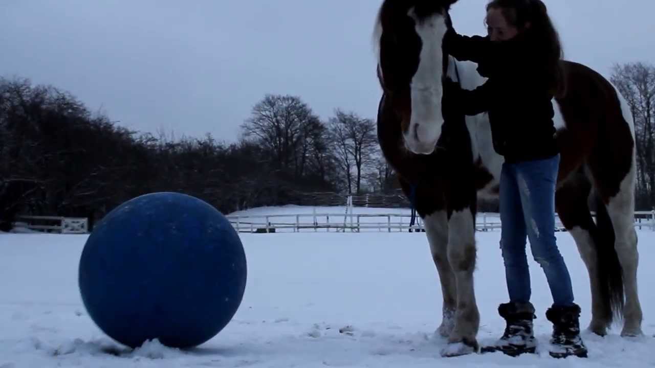 Caroline & Åberg vinter 2014 - YouTube