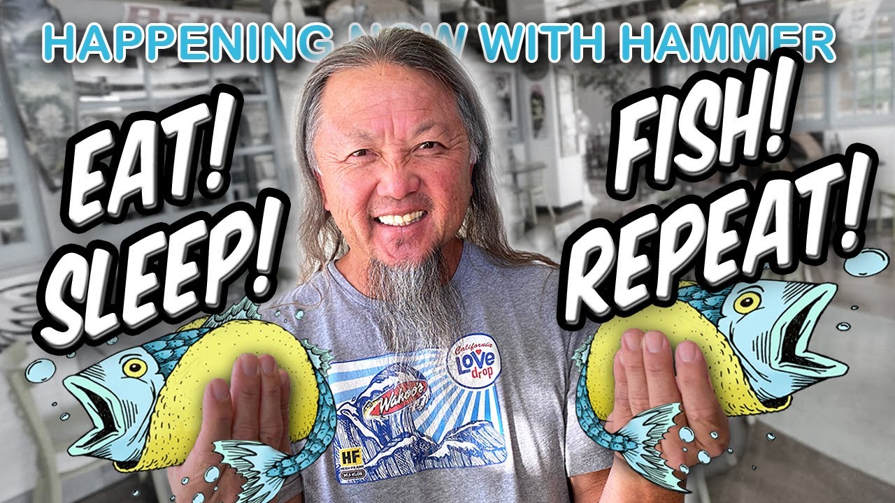 How Wahoo's Turned Fishing For The Best Taco Into Success! with Wing ...