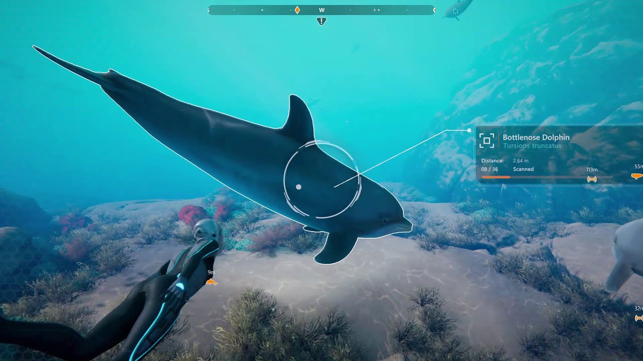 Beyond Blue Gameplay (PC Game) - YouTube