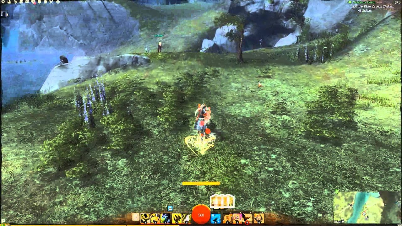GW2 Ranger Pet Locations - Brown Bear - YouTube