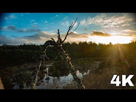 Inverarnie Esker Trail Timelapse 4K
