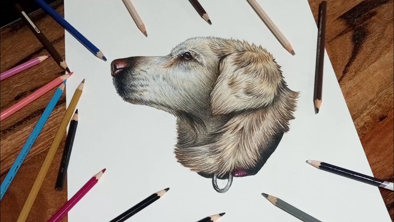 Angel drawing in colour pencil Rip Angel by Harley Akers - YouTube