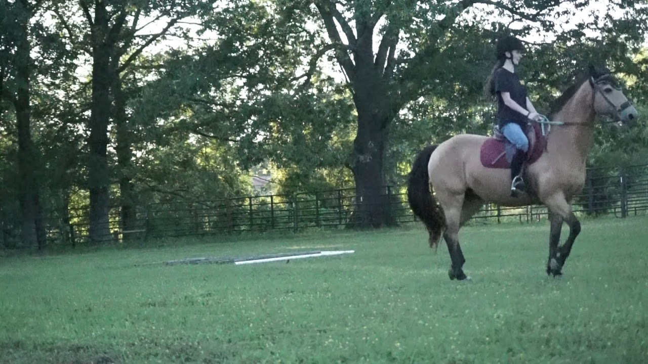 Lucy June 1, 2020 - YouTube