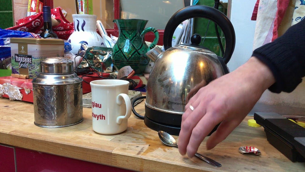 Making Tea Watching Birds - YouTube
