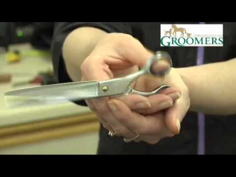 Groomers Dog Grooming Tips: Correct scissor action - YouTube