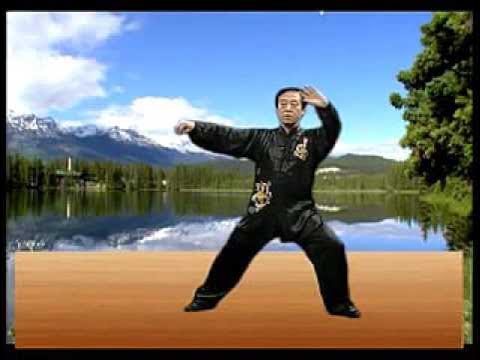 Chen style Tai Chi Xinjia Yilu tutorial Chen Zhenglei 3/6 - YouTube