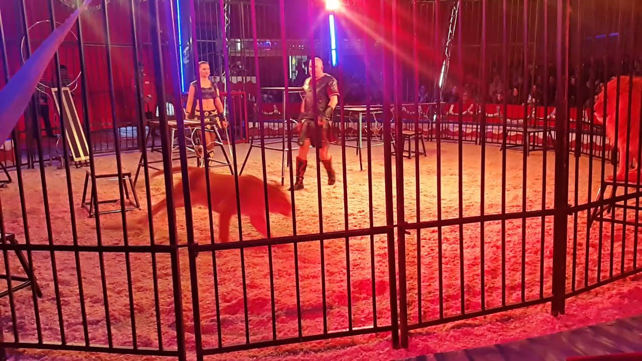 Duo Arkan Show - YouTube