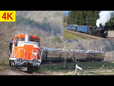 【ばんえつ物語】喜多方しだれ桜満喫号（DE10＋12系 磐越西線）とSL大樹（C11123＋14系）【高音質4K】Steam Locomotive - YouTube