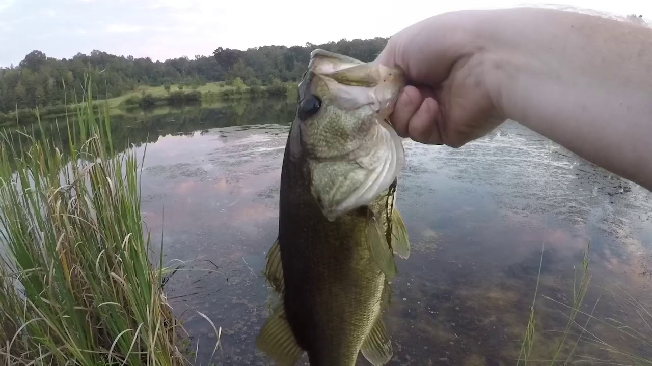 whopper-plopper-90-vs-75-youtube