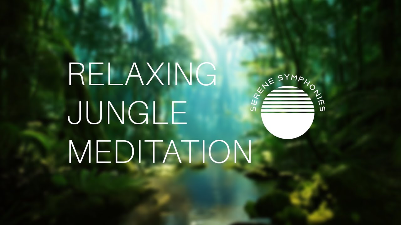 Jungle Sound Meditation by Day | Start Your Spiritual Journey with ...