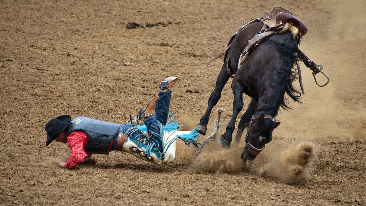 Funny Horse Fails & Falls 2020 - Equi Rider -Try Not To Laugh Challenge ...