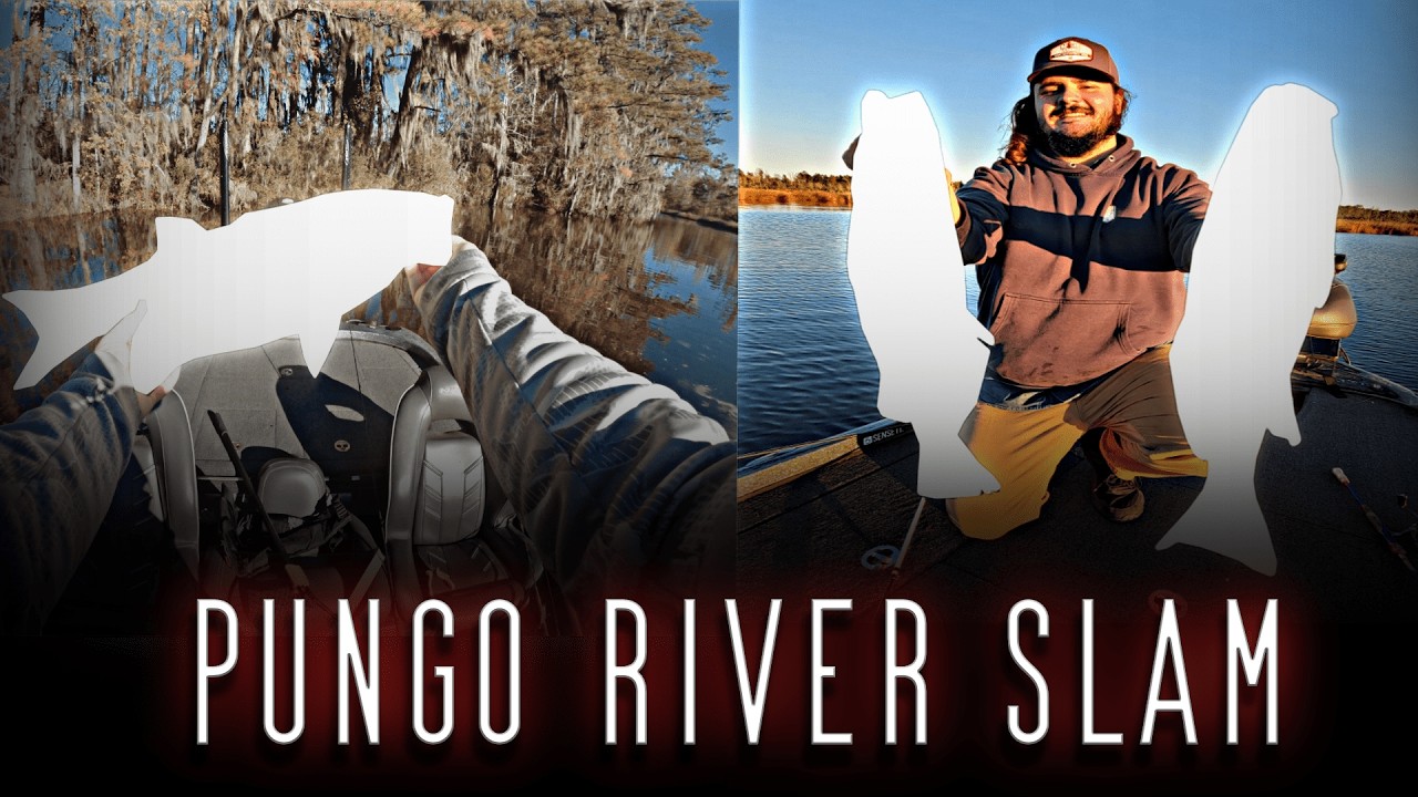 Pungo River November Fishing (Inshore Slam) - YouTube