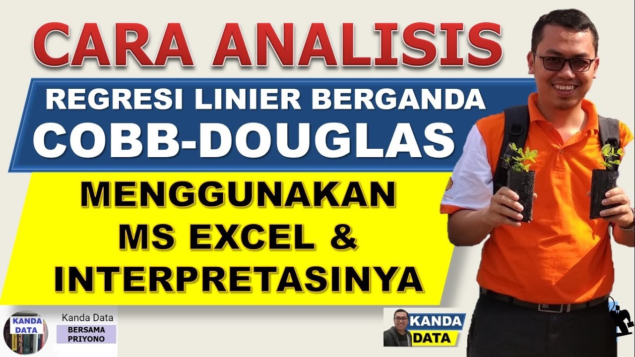Analisis Regresi Linier Berganda Cobb-Douglas di Ms Excel dan Cara Interpretasi Hasilnya - YouTube