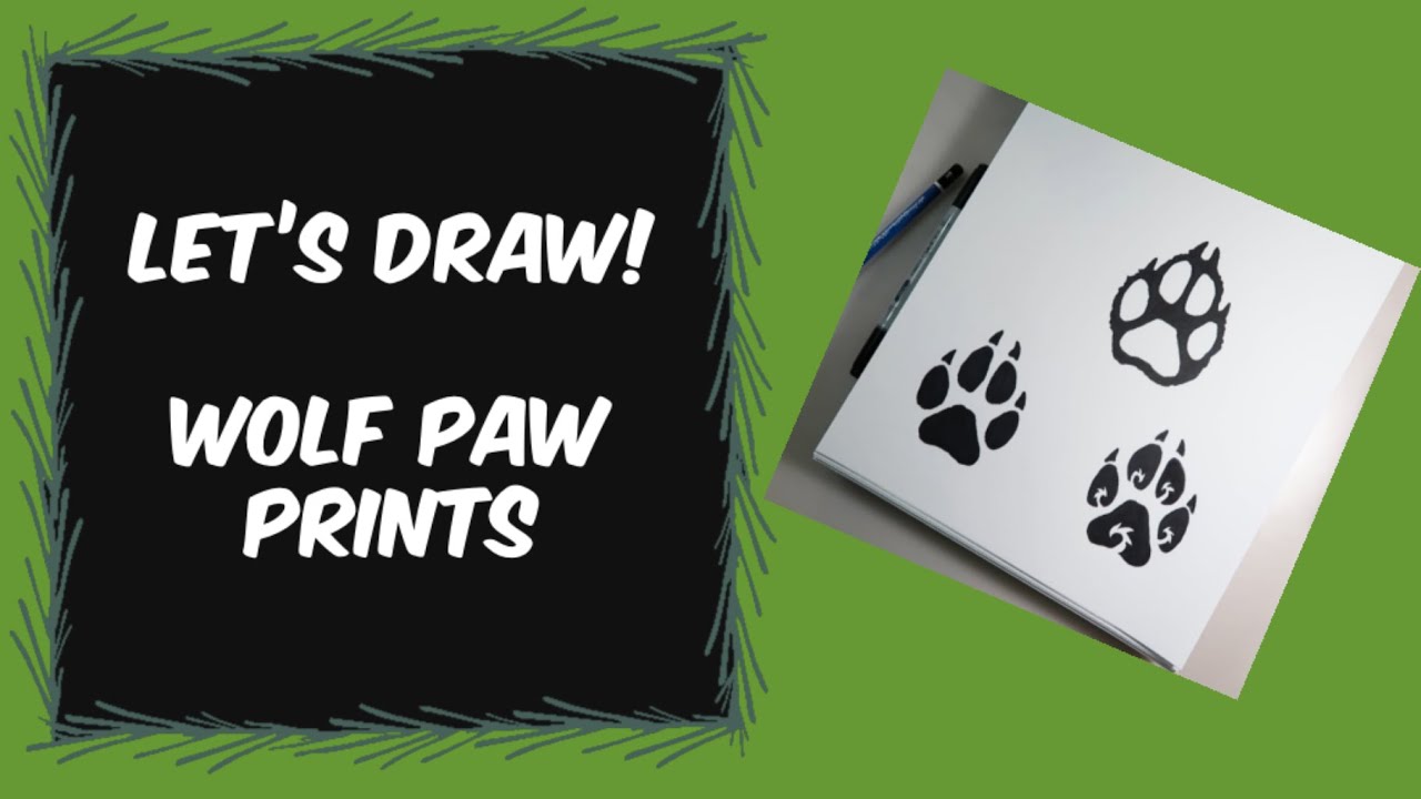 LET’S DRAW! Wolf paw prints - YouTube